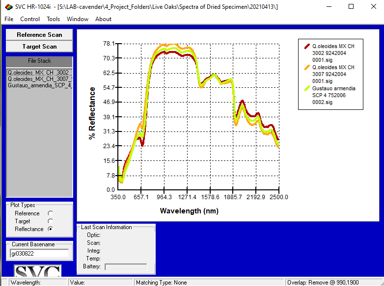 SVC Leaf Measurements - Cavender-Bares lab